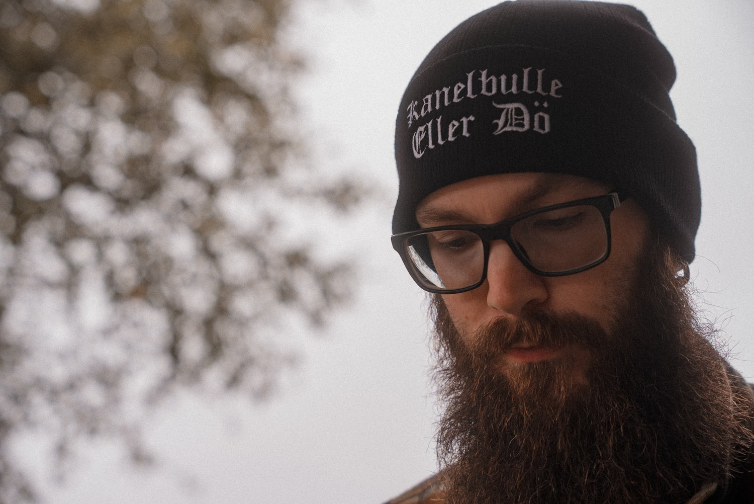 Mangobeard Design Company – mangobeard